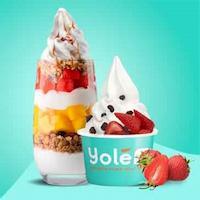 Franquicia YOLÉ ICE CREAM valorada | Rentabilidad franquicia