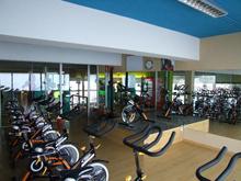 Galería de imágenes de la franquicia Holiday Gym
